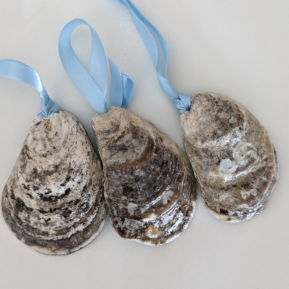 Hand Crafted | Accents | Set Of 3 Handcrafted Oyster Shells Live Love ...